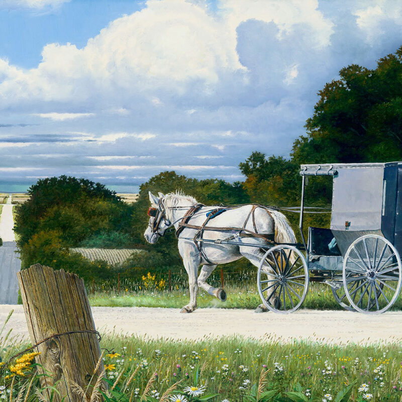 Various Artwork of Terrence Fogarty