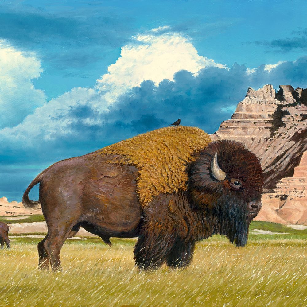 Various Artwork of Terrence Fogarty